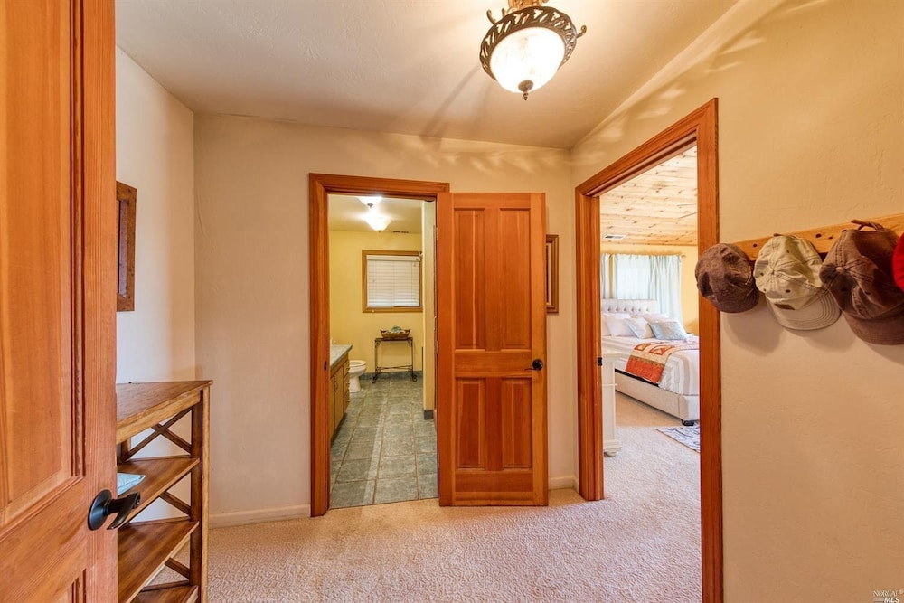 Lovely Vineyard Retreat. - Ukiah, CA