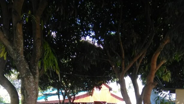 Área de estar ao ar livre com mesas e cadeiras, rodeada por árvores.