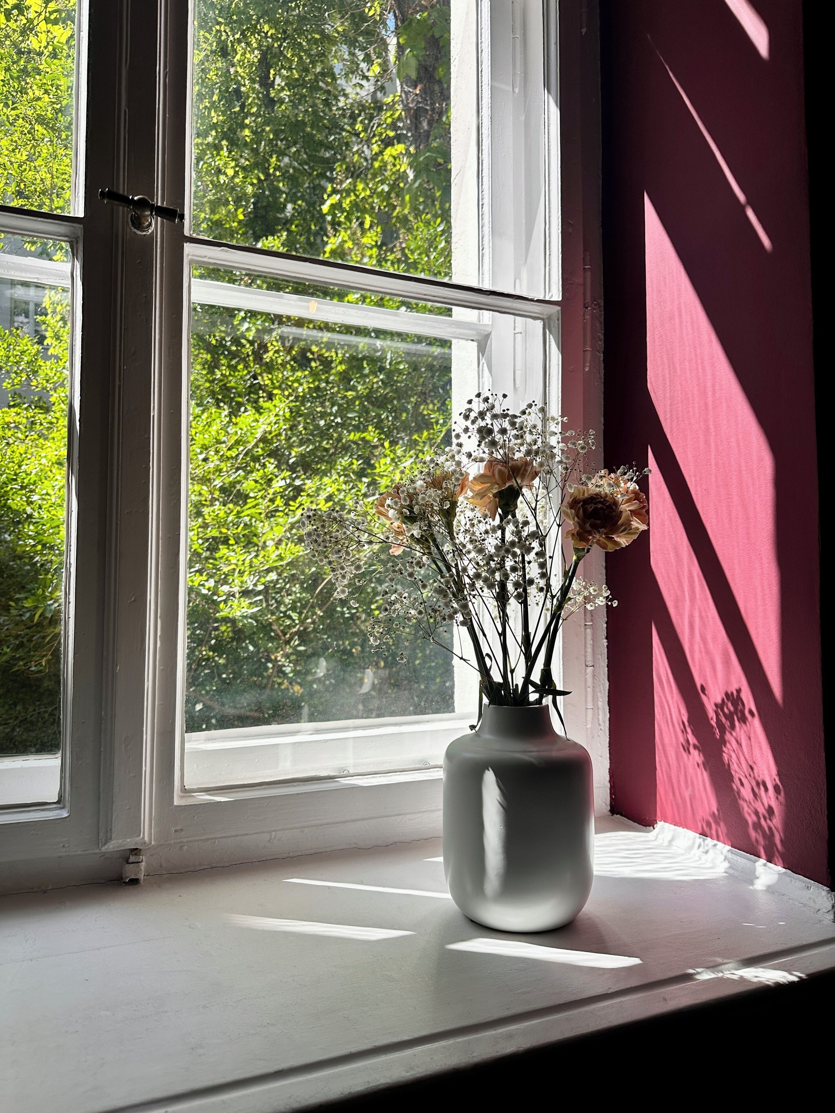 Uma janela com moldura branca, um vaso com flores e vista para o verde lá fora.