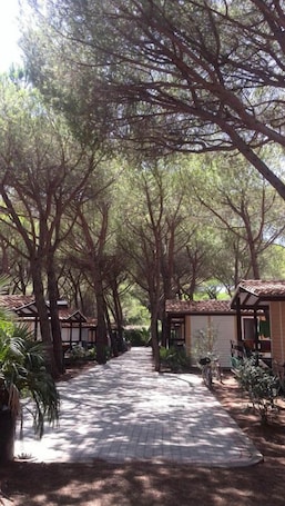 Pormenores do exterior. Camping Village Il Sole