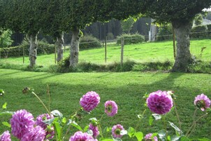 Casa de Campo | Jardim