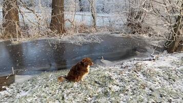 Apartamento | Vista do alojamento