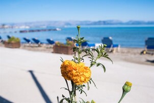 Terrenos do alojamento