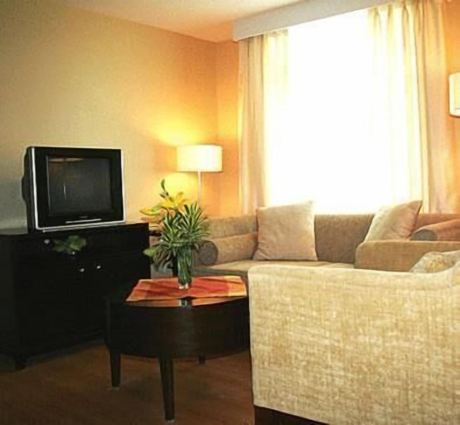 Quarto de hotel com sofá, televisão em móvel, abajur e pequena mesa com planta.