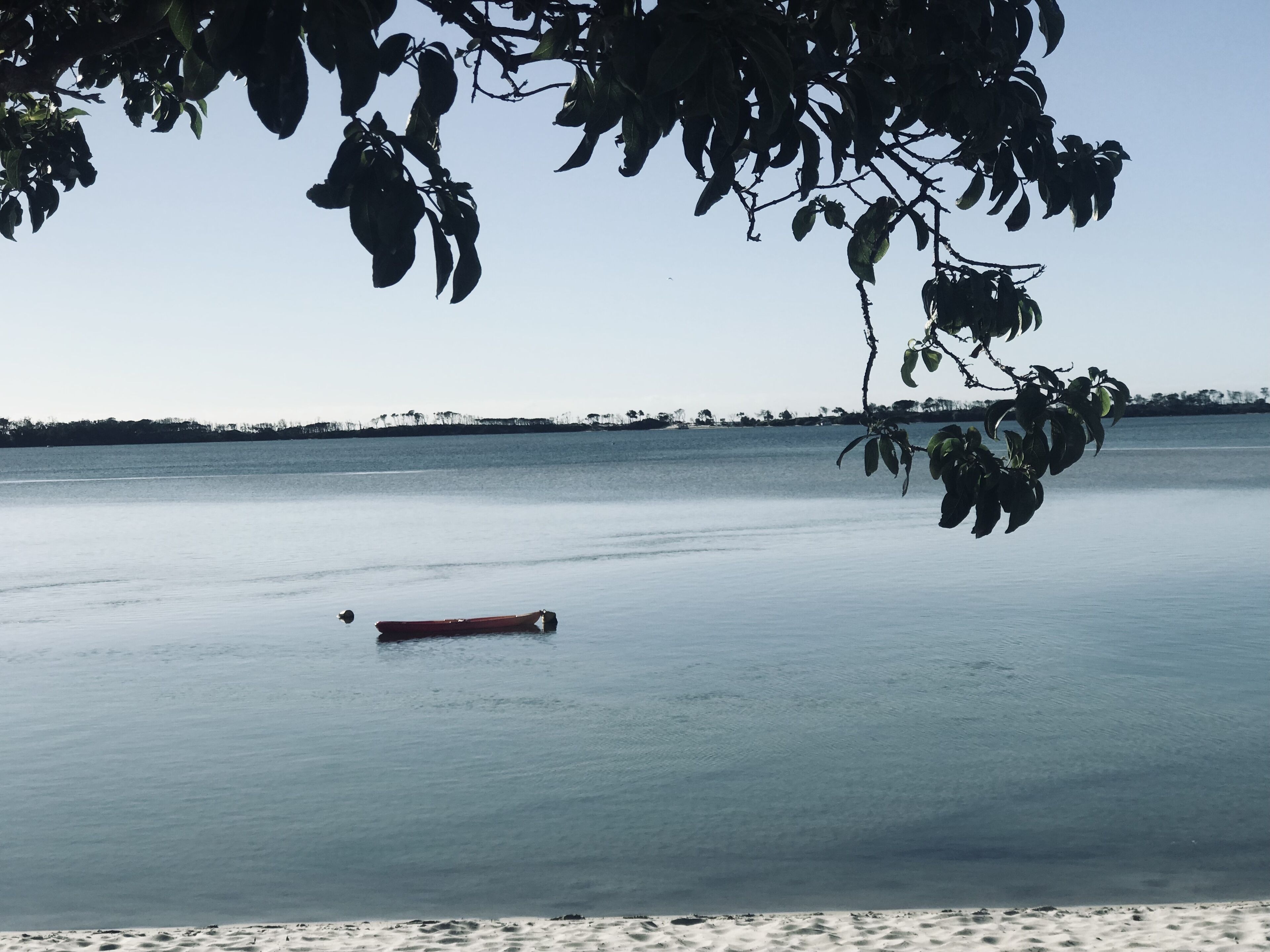 Água calma com um pequeno barco e um galho de árvore em primeiro plano.