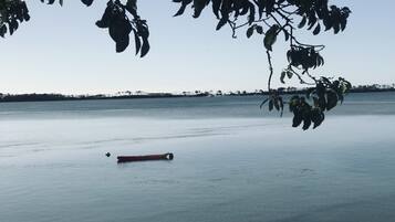 Água calma com um pequeno barco e um galho de árvore em primeiro plano.