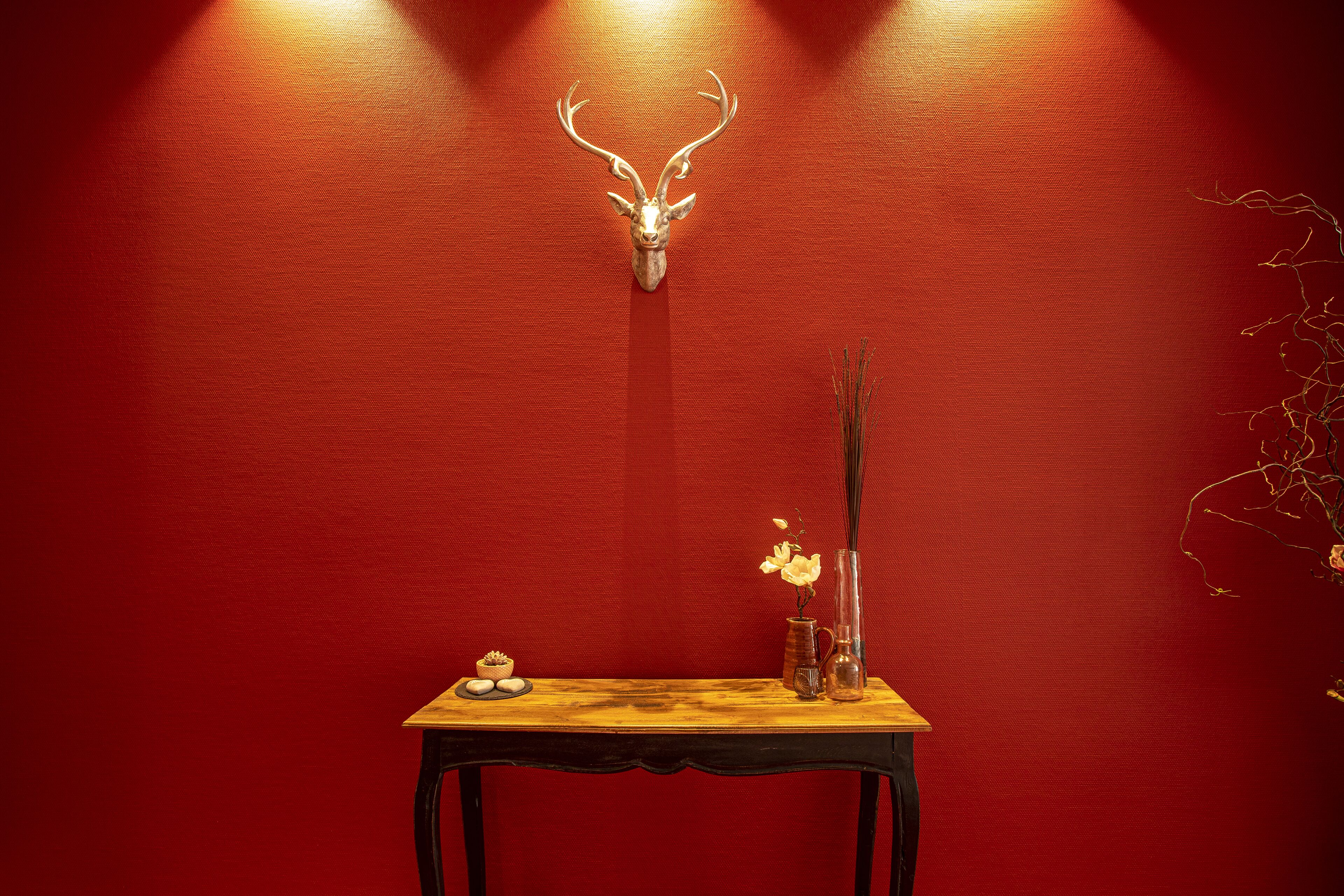 Pared vermelha com cabeça de veado fixada, mesa de madeira com um vaso e flores, e um pequeno objeto decorativo.