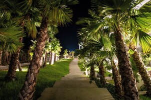Jardim