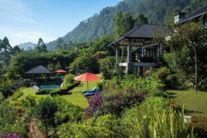Um jardim exuberante com piscina, espreguiçadeiras e um gazebo.