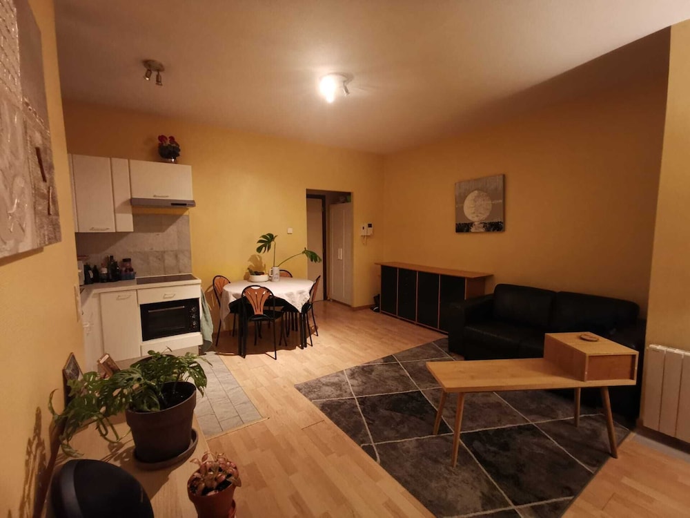 Flat To Let Brussels Center Near Metro Schuman - Etterbeek