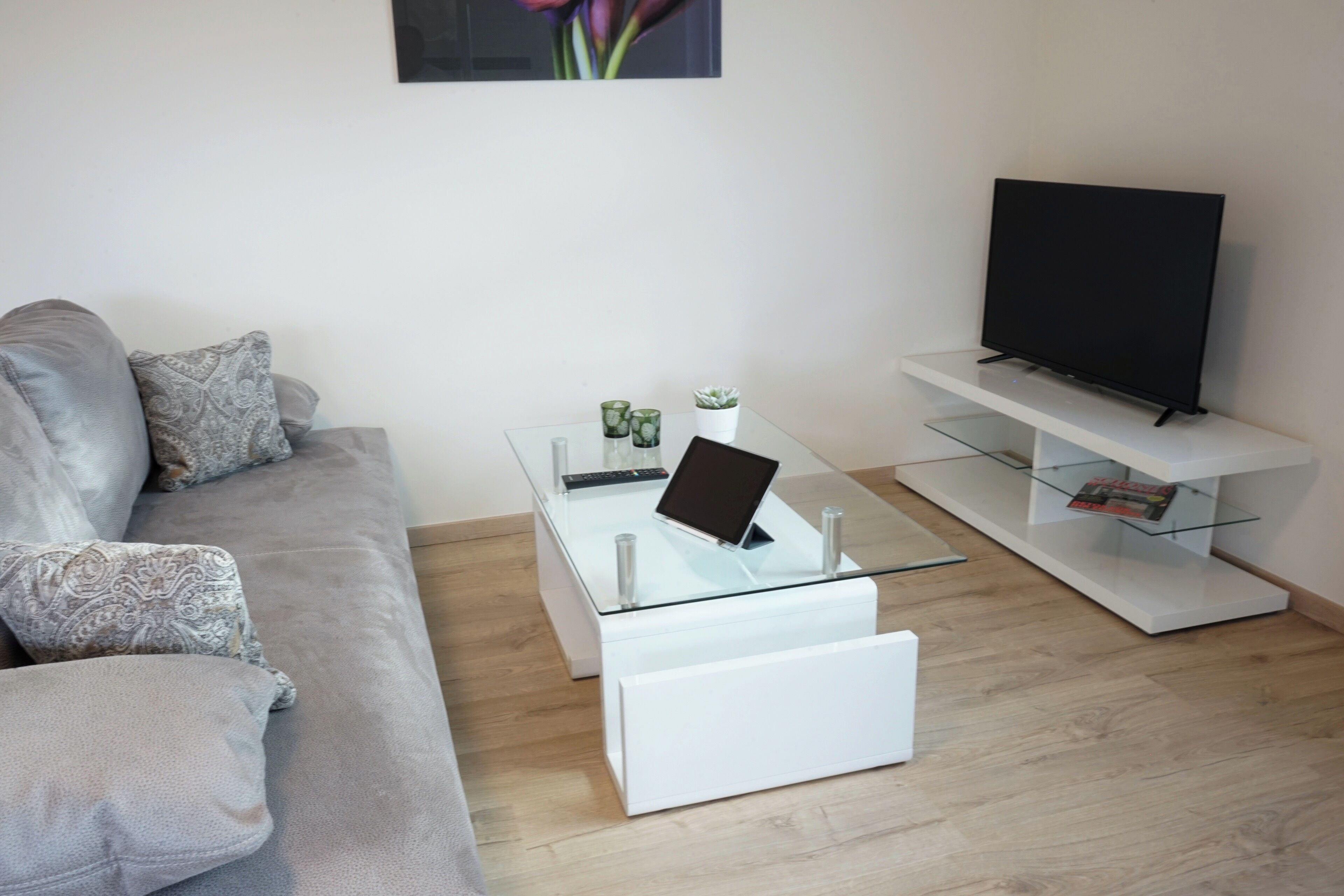 Uma sala de estar moderna com um sofá cinzento, uma mesa de centro de vidro com um laptop, uma TV em um suporte branco e uma pequena planta.