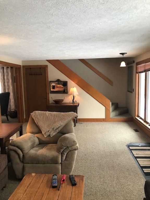 Westwood-very Private - Blackwater Canyon Trail- 1 Mile From Thomas - Davis, WV