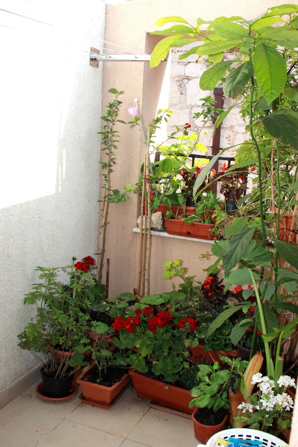 Apartment Bucevic - Šibenik