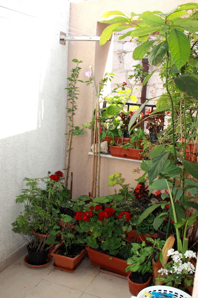 Apartment Bucevic - Šibenik