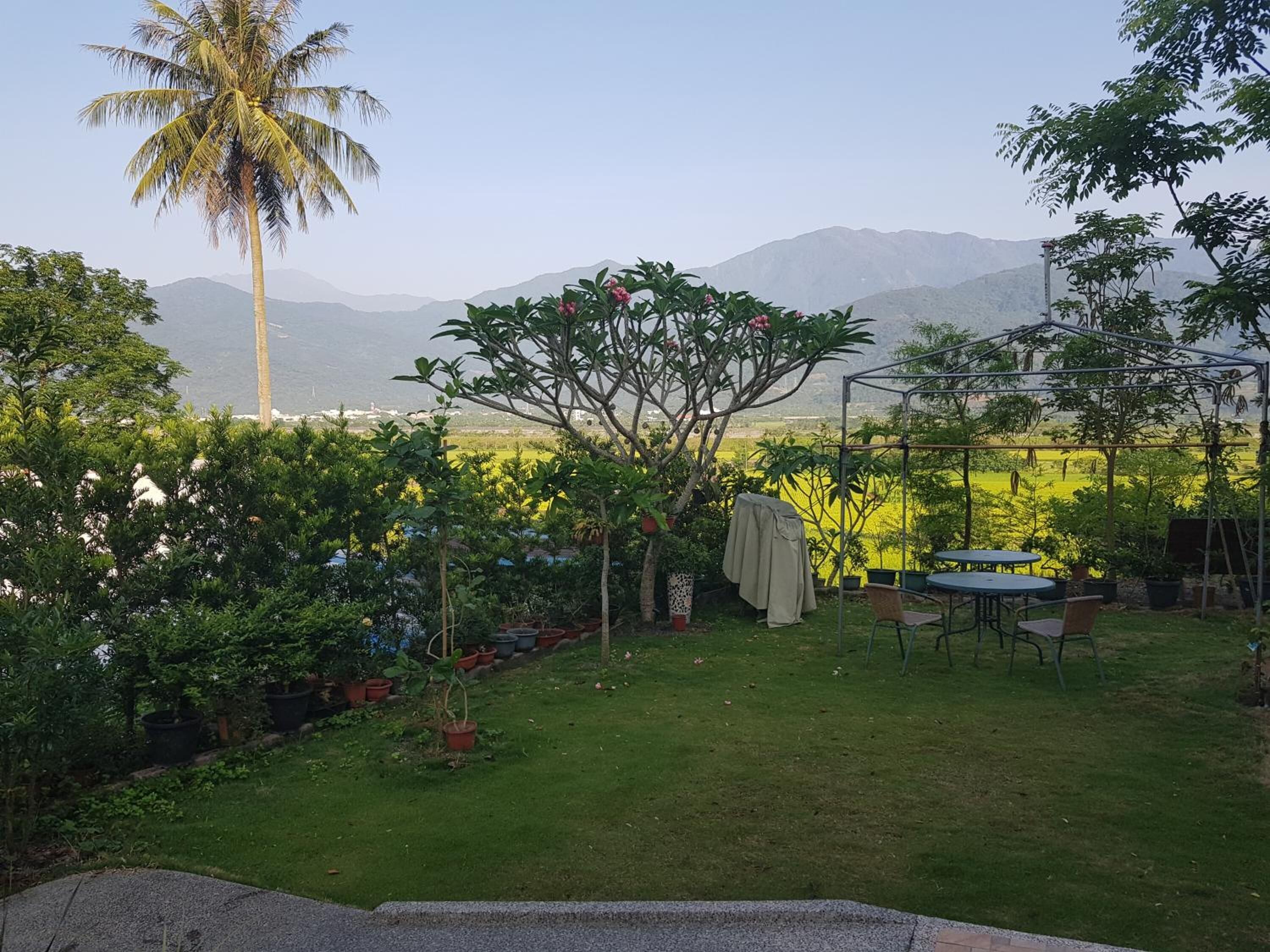 Um jardim com gramado, uma palmeira e uma mesa com cadeiras.
