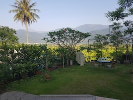 Um jardim com gramado, uma palmeira e uma mesa com cadeiras.