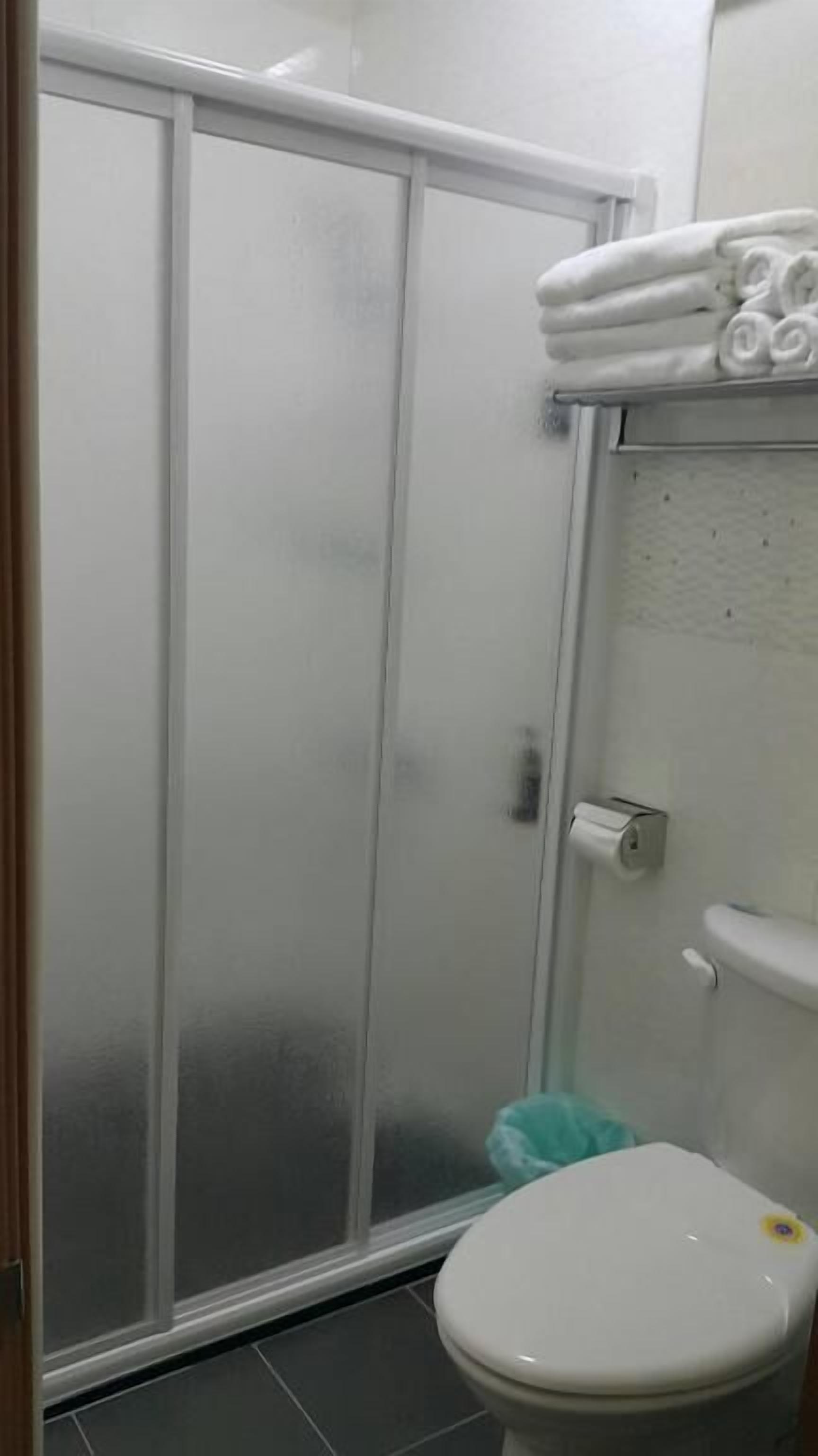 Casa de banho com chuveiro em cabine de vidro, sanita e toalheiro com toalhas dobradas.