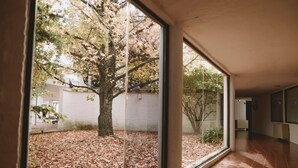 Corredor com amplas janelas que dão para um pátio com uma árvore e folhas espalhadas.