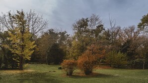 Uma área gramada com árvores e arbustos.