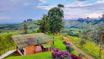 Jardim