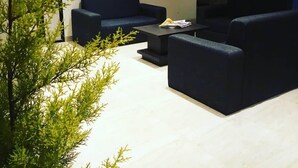 Uma sala de estar moderna com um sofá azul escuro, uma mesa de centro e uma pequena planta.