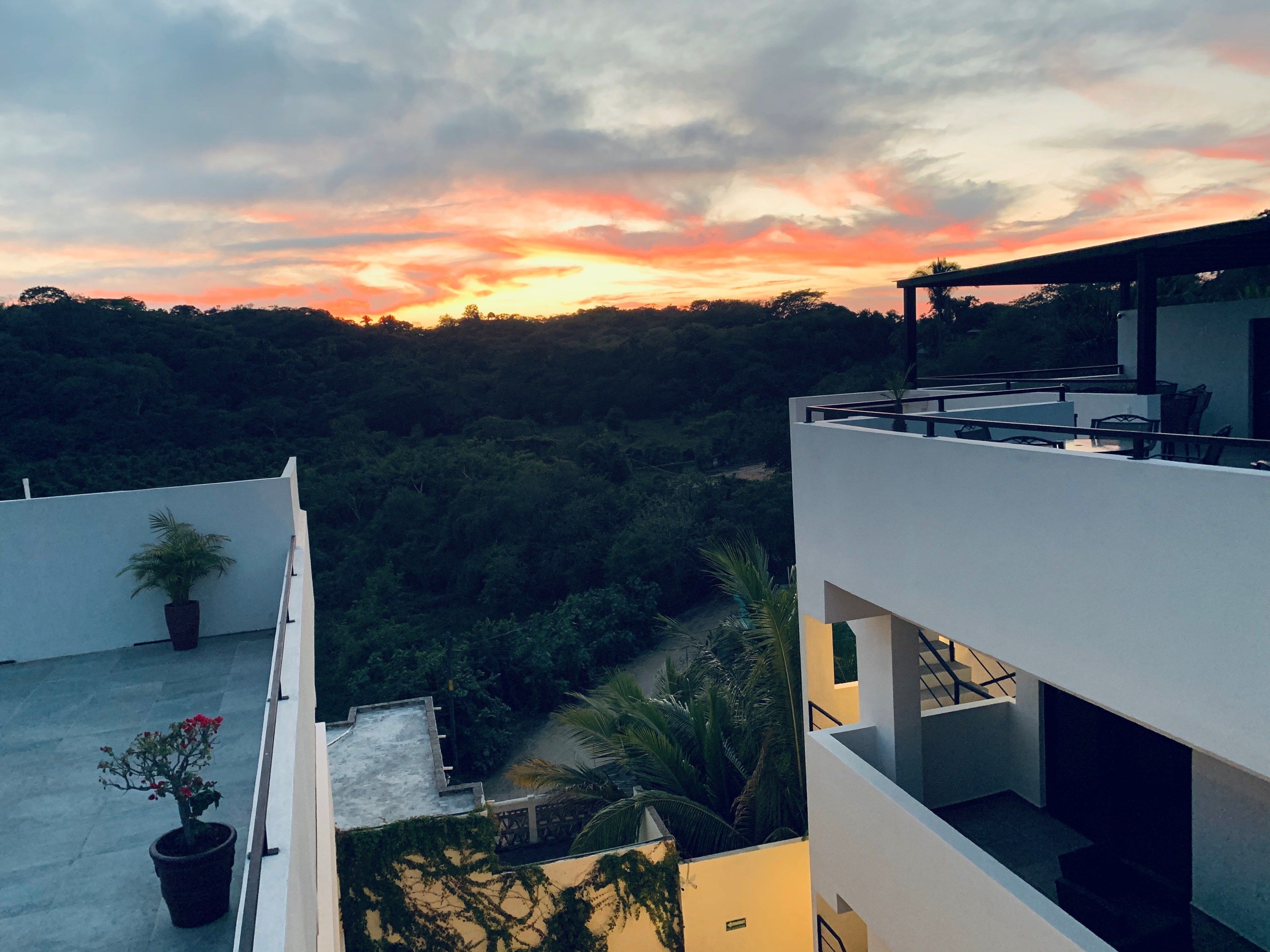 Um edifício moderno com terraço no telhado e vista para uma floresta densa.