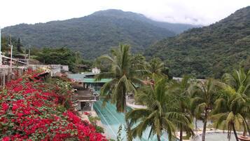 Um hotel com área de piscina rodeada por palmeiras e flores vermelhas, com uma paisagem montanhosa ao fundo.