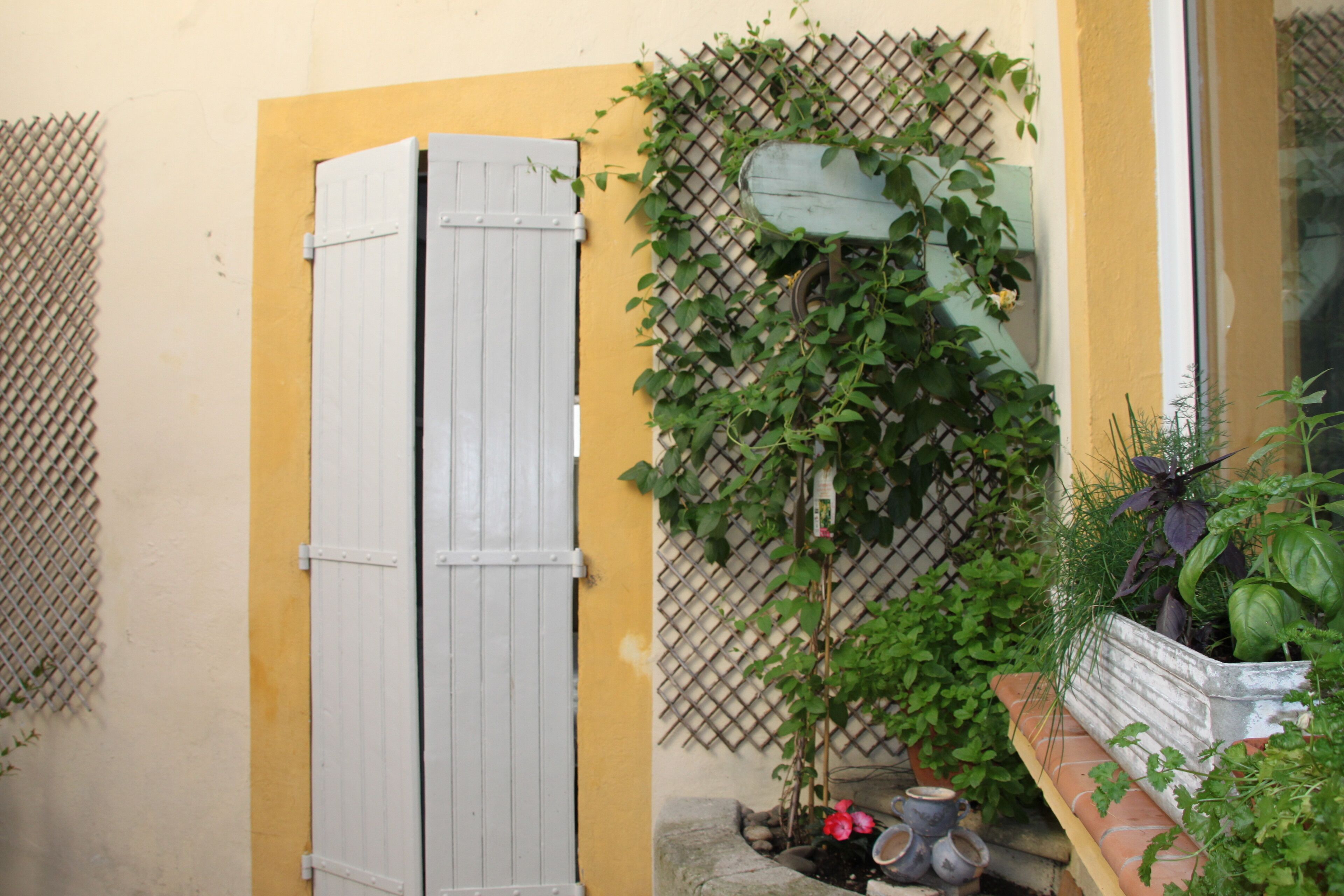 Paredes amarelas com uma porta branca, uma janela treliçada e diversos vasos de plantas.