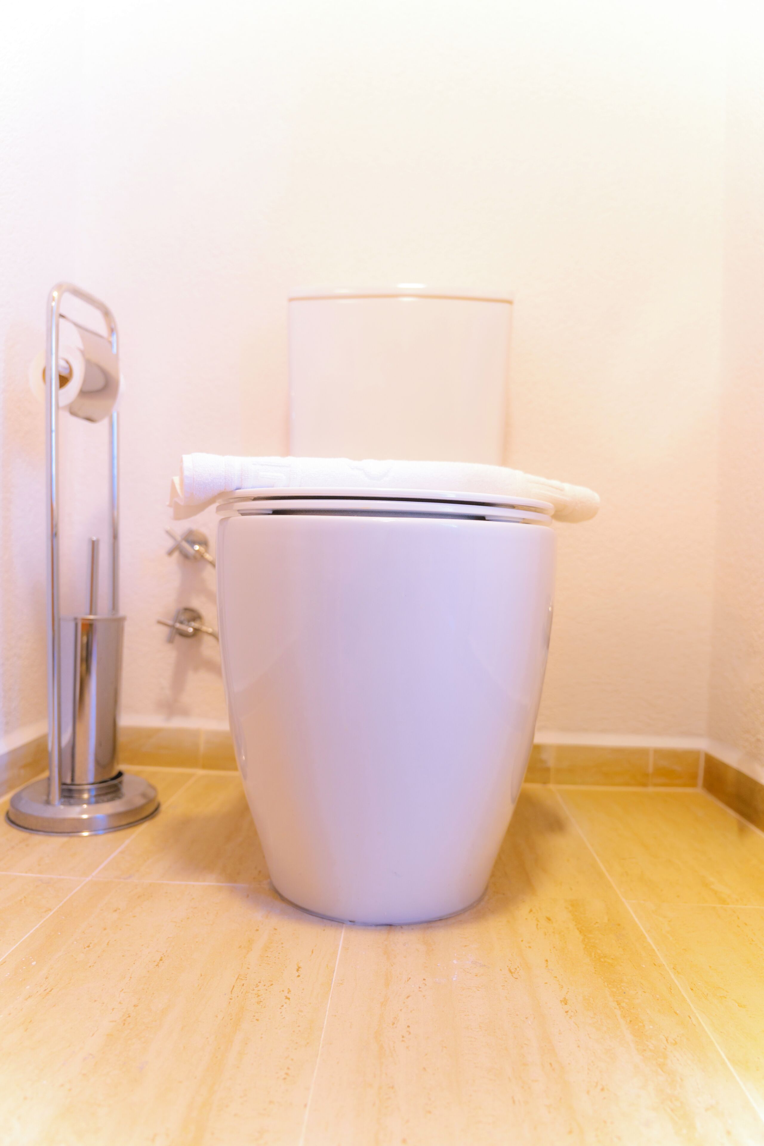 Sanitário branco com tampa, acionador de descarga e rolo de papel higiênico.