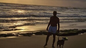 Uma pessoa e um cão numa praia, com o sol a pôr-se ao fundo.