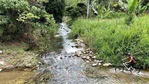 Um riacho estreito com pedras e vegetação nas margens, e uma pessoa pedalando por ele.