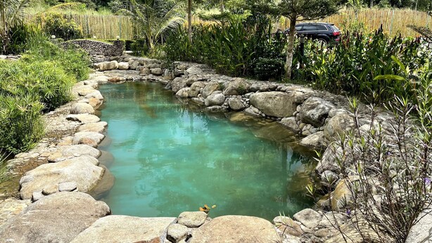Um pequeno lago com borda de pedra, rodeado por vegetação exuberante e cerca de bambu.