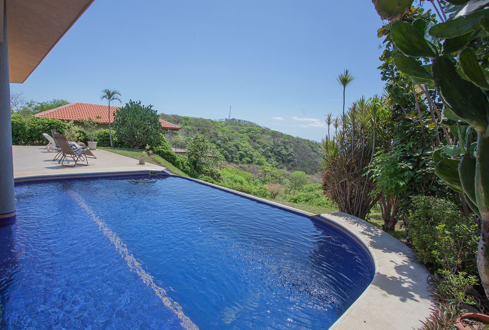 Piscina com vista para uma casa e vegetação exuberante ao fundo.