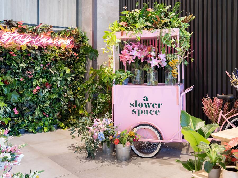 Um carrinho rosa com a inscrição 'um espaço mais lento', com plantas e flores em vasos.
