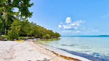 Buttonwood Bay, Key Largo Vacation Rentals: house rentals & more | Vrbo