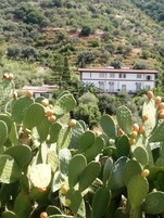 Quarto, 2 quartos, fumadores, vista para o jardim | Exterior
