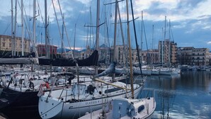 Uma marina com vários veleiros atracados, um cais de madeira e edifícios ao fundo.