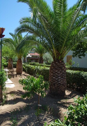 Um jardim com palmeiras e um caminho que leva a um edifício com telhado vermelho.
