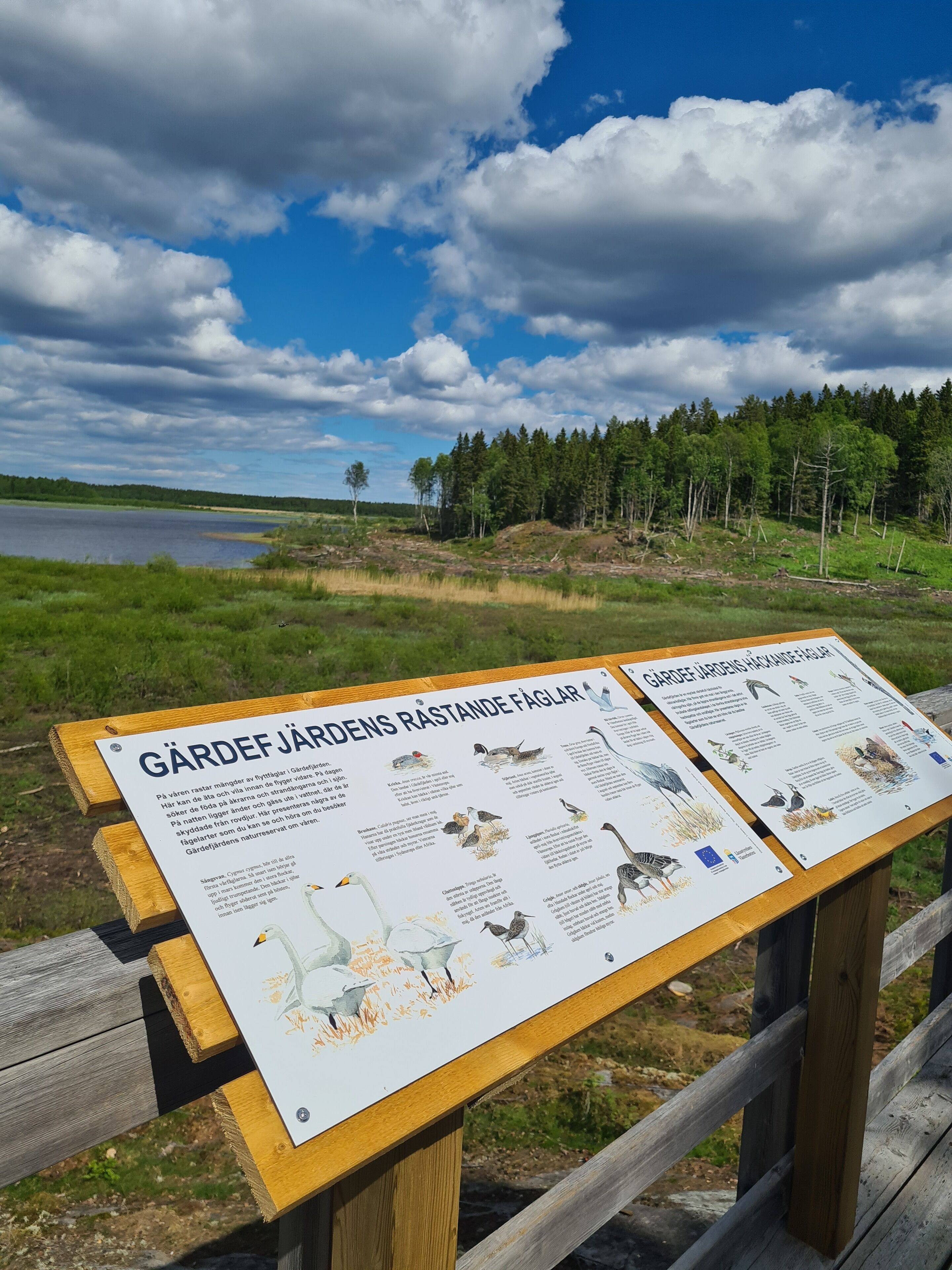 Painel informativo sobre Gärdef Järdens Rastande Fåglar em ambiente natural, com um lago e floresta ao fundo.