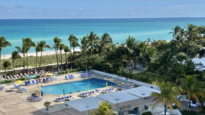 Seacoast by Miami Ambassadors