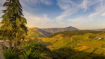 Paisagem montanhosa com uma árvore destacada em primeiro plano e vista do vale abaixo.
