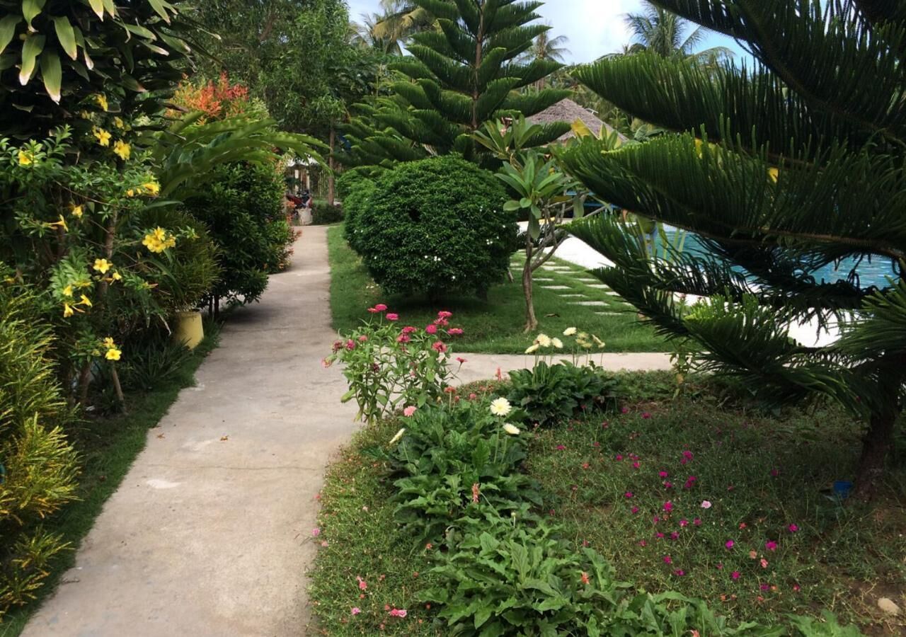Um caminho no jardim com diversas plantas e flores.