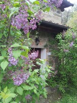 Chalé, 1 quarto, para fumantes, lareira | Jardim