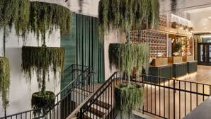 Decoração moderna com escada, plantas pendentes e uma área de recepção com balcão de madeira.