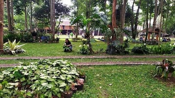 Jardim