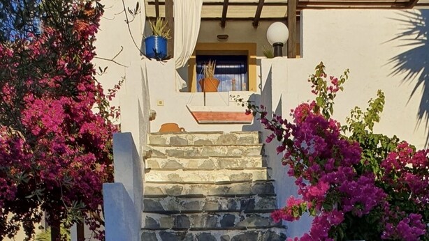 Uma escadaria de pedra leva a um edifício branco com vasos de plantas e flores.