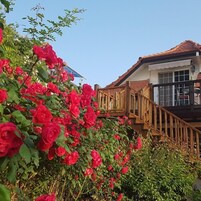 Quarto, 1 cama de casal, para não fumantes, vista parcial para o mar | Terraço/pátio