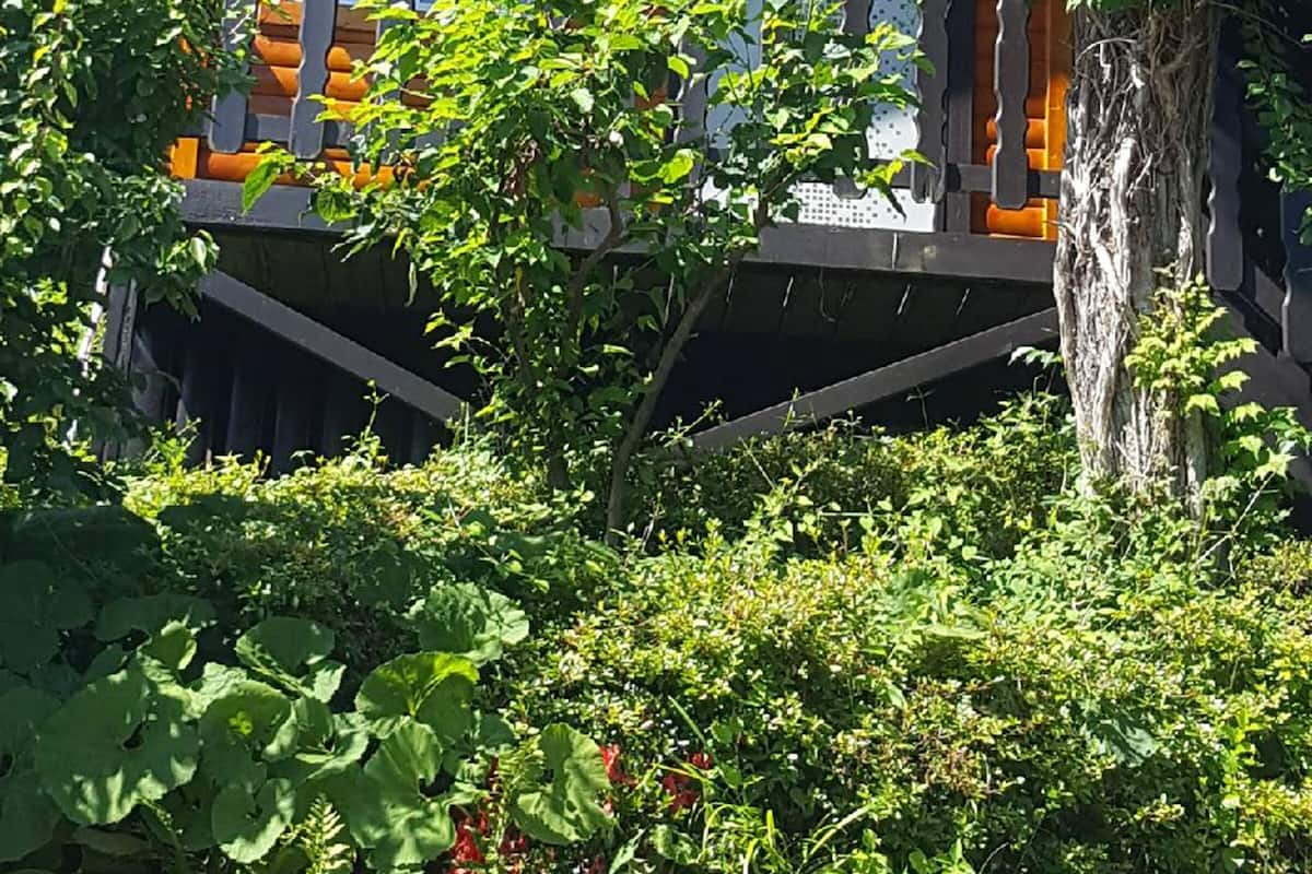 Uma cabana de madeira com varanda, rodeada por vegetação densa.
