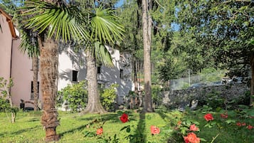 Jardim