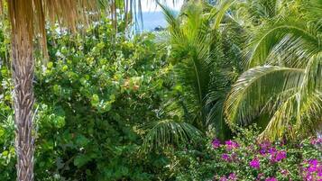 Villa, várias camas (1039 - Villa Flory) | Terrenos do alojamento